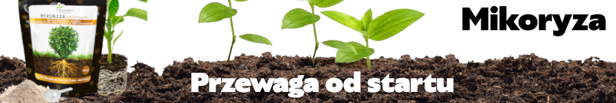 Podłoża dekoracyjne - hemp.pl